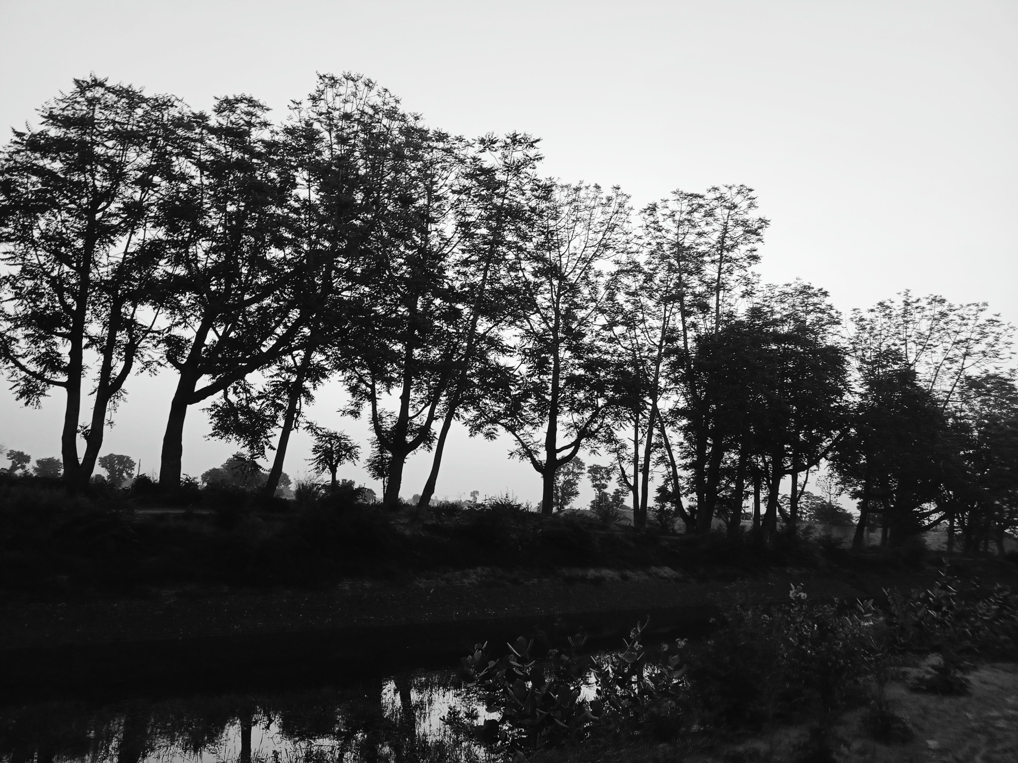 Prakarti